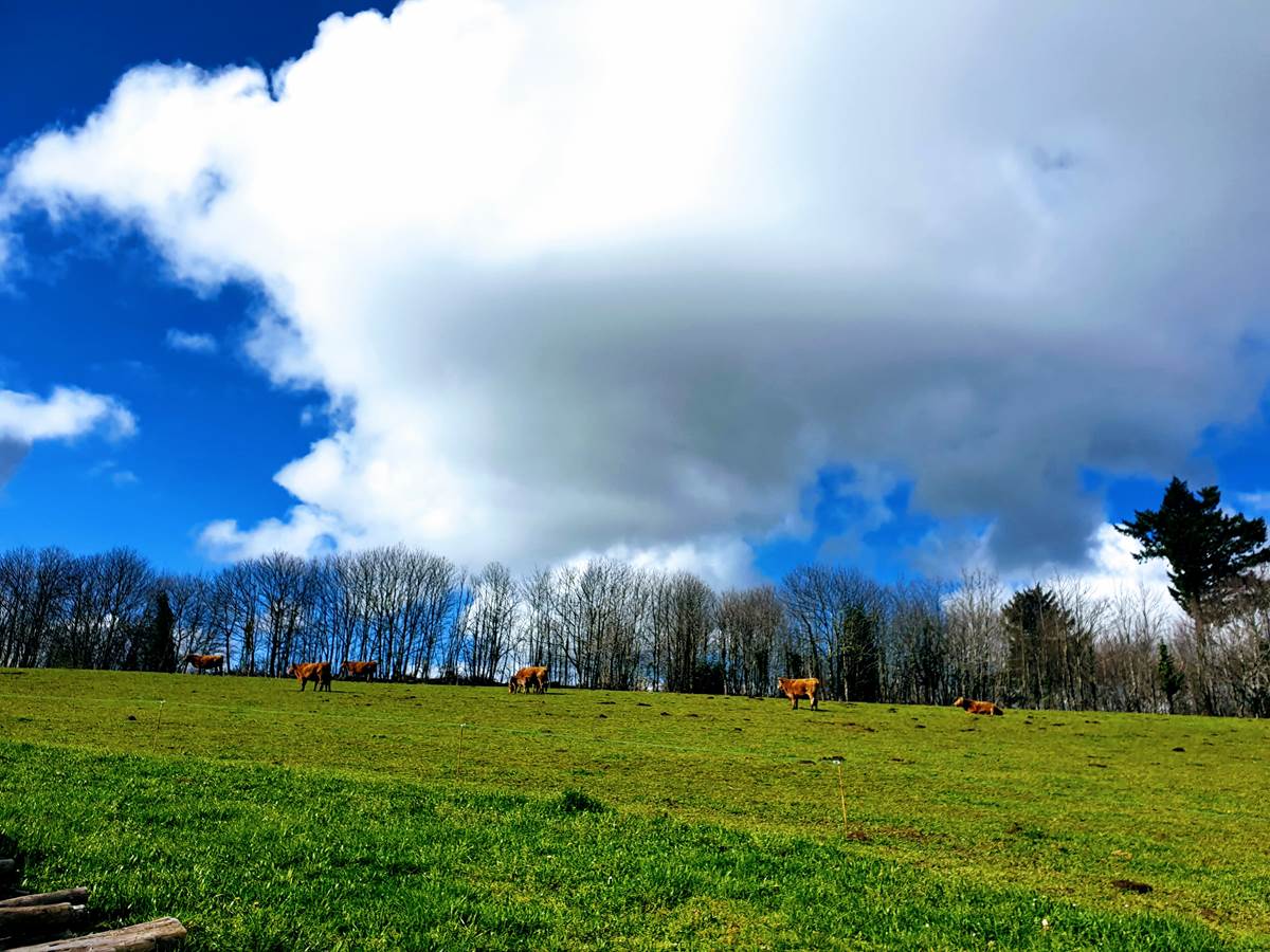 La Vieille Maison de Pensol - PENSOL - FRANCE