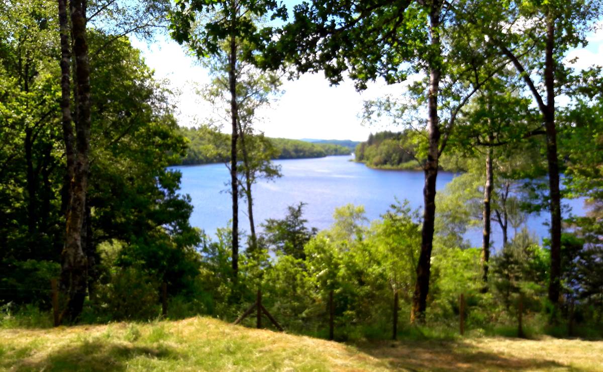 Camping du lac de Viam - VIAM - FRANCE