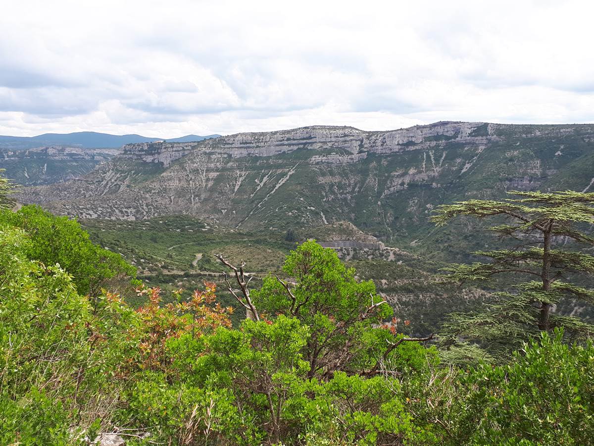 Les Chalets du Roc - ALZON - FRANCE
