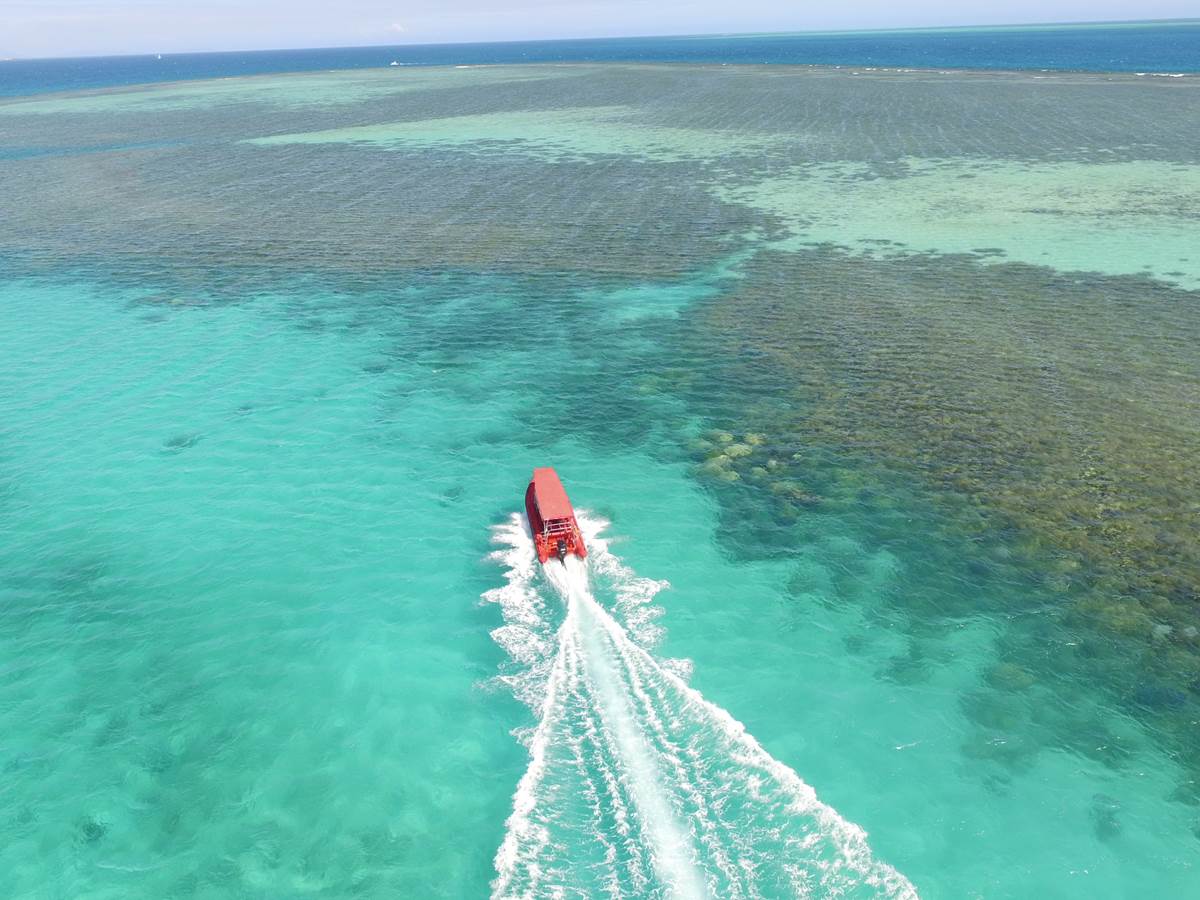 DAL OCEAN TAXI BOAT & CATAMARAN - NOUMEA - NOUVELLE-CALEDONIE