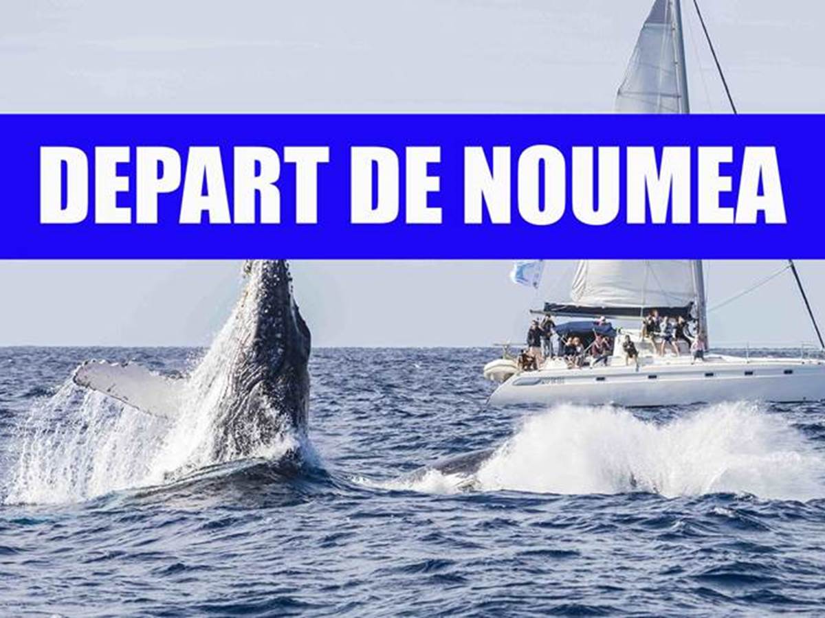 DAL OCEAN TAXI BOAT & CATAMARAN - NOUMEA - NOUVELLE-CALEDONIE