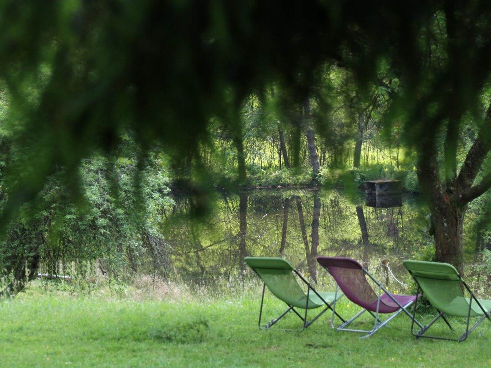 - LES ROUGES EAUX - FRANCE